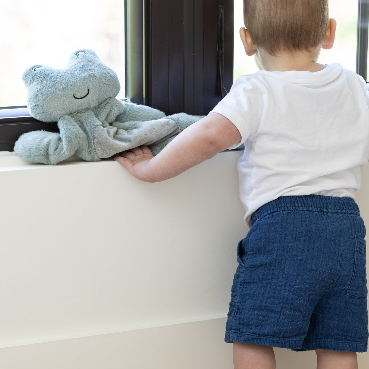 Big Buddy Freddie the Frog – Bella Tunno