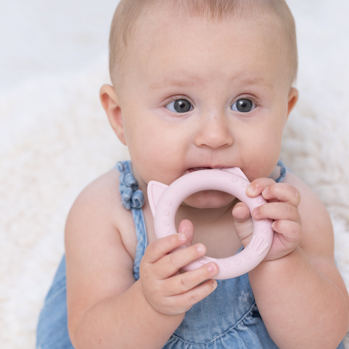 Cat Rattle Buddy – Bella Tunno