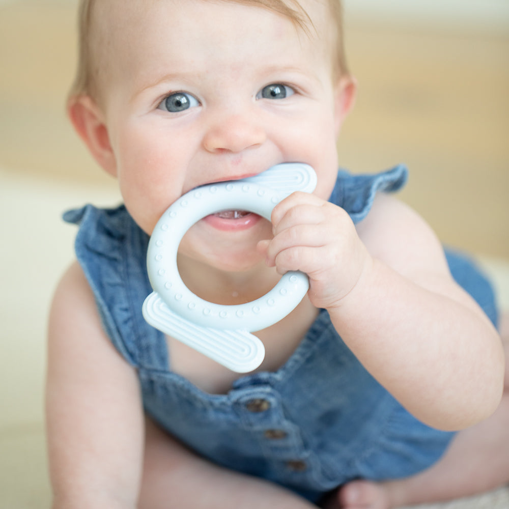 Dog Rattle Buddy – Bella Tunno